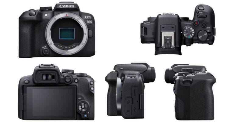 Canon EOS R50とEOS R10の違いを比較。おすすめはどっち？