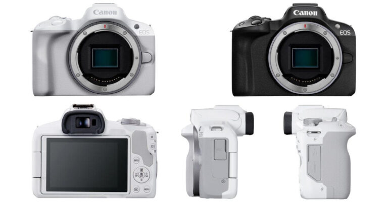 EOS R100とEOS R50の違いを比較。おすすめはどっち？Canonミラーレスカメラ